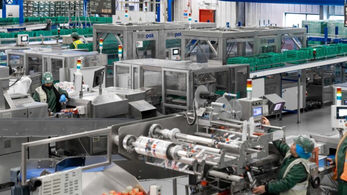 Brillopak’s Five-year Phased Automation Roadmap Accelerates Packing ...