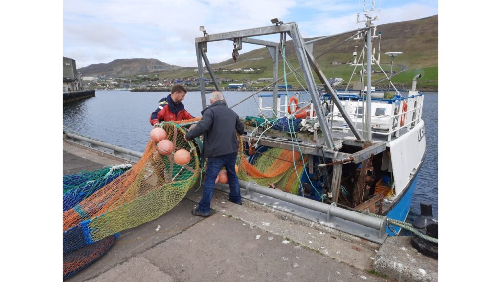 AI-empowered Fishing Net to Help Prevent Marine Bycatch i4.0 Today Magazine