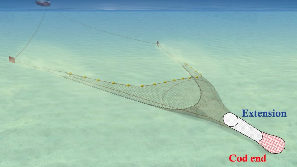 AI-empowered Fishing Net to Help Prevent Marine Bycatch i4.0 Today Magazine