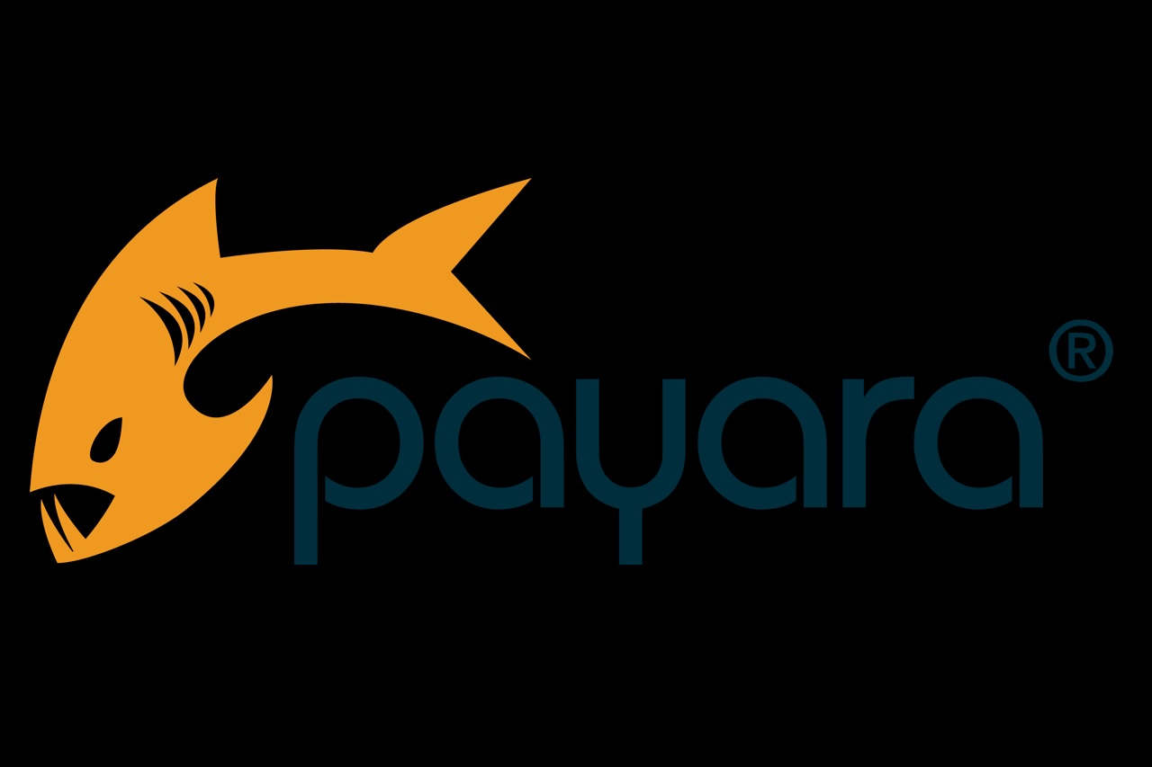 Payara Launches Payara Qube: A Breakthrough Java Platform